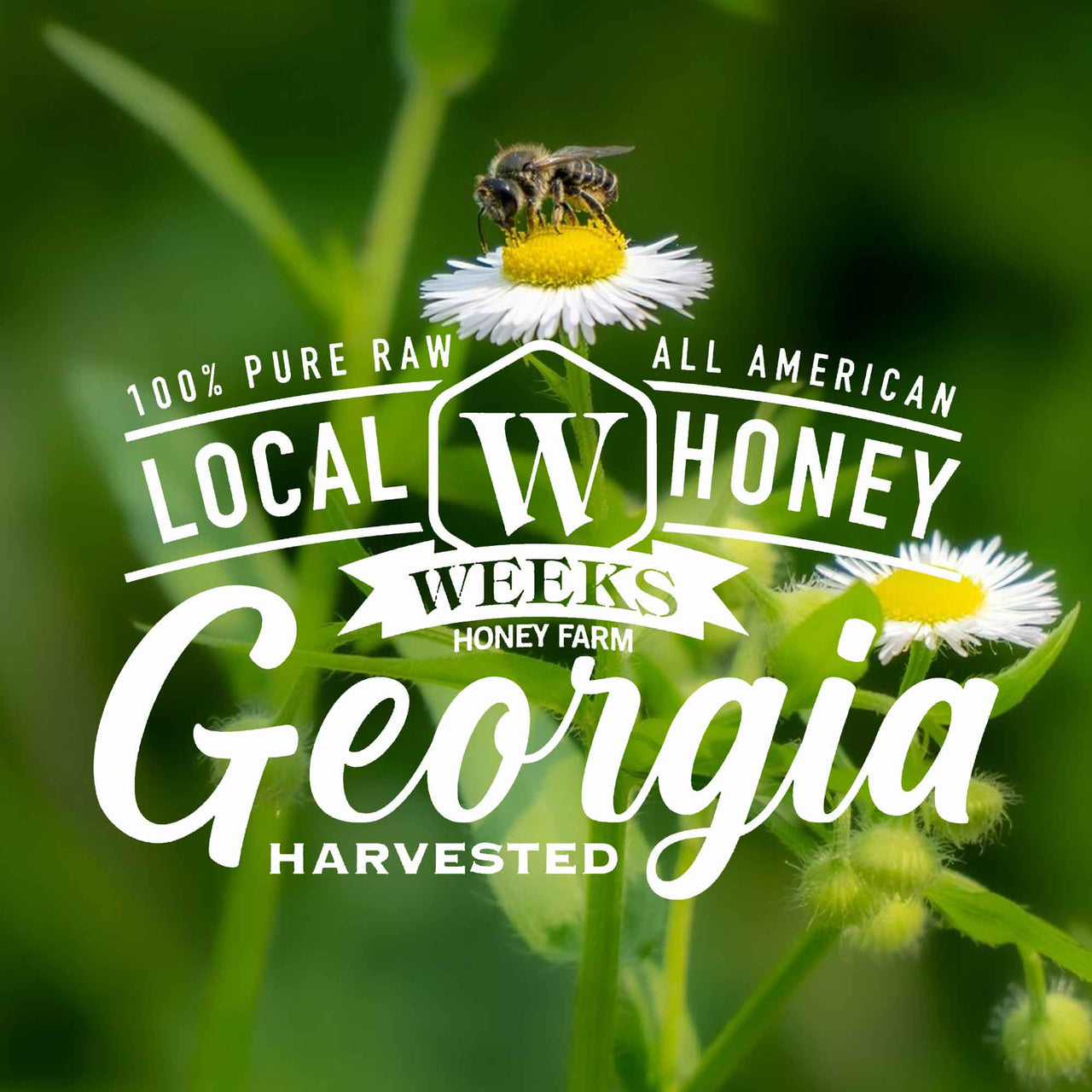 Save 30% Off Weeks Pure Raw Honey When You Try Us! – Weeks Honey Farm